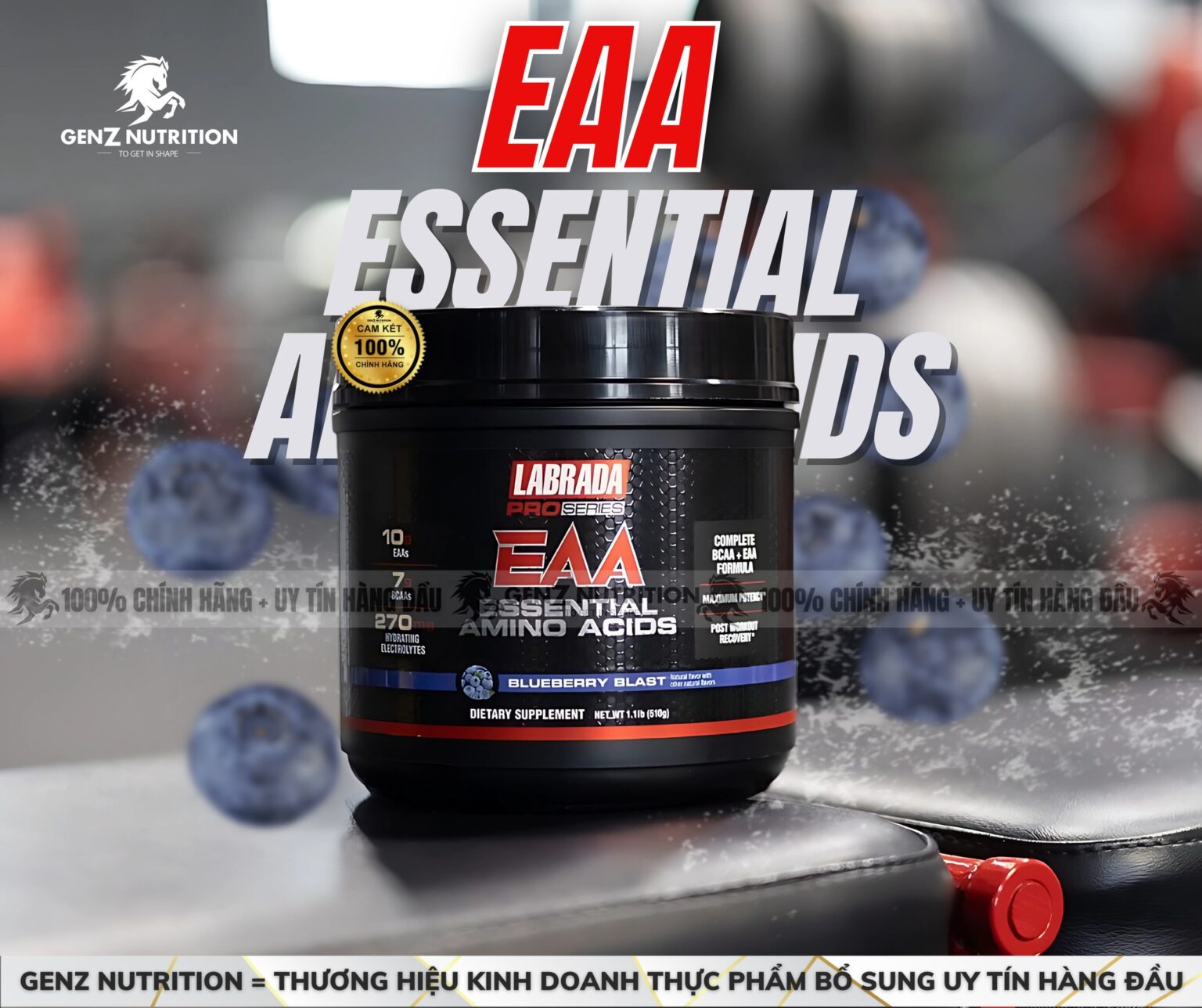 EAA LABRADA PROSERIES - ĐẲNG CẤP INTRA-WORKOUT
